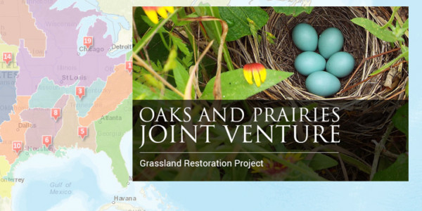 Migratory Bird Joint Ventures - Partnerships for Bird Conservation